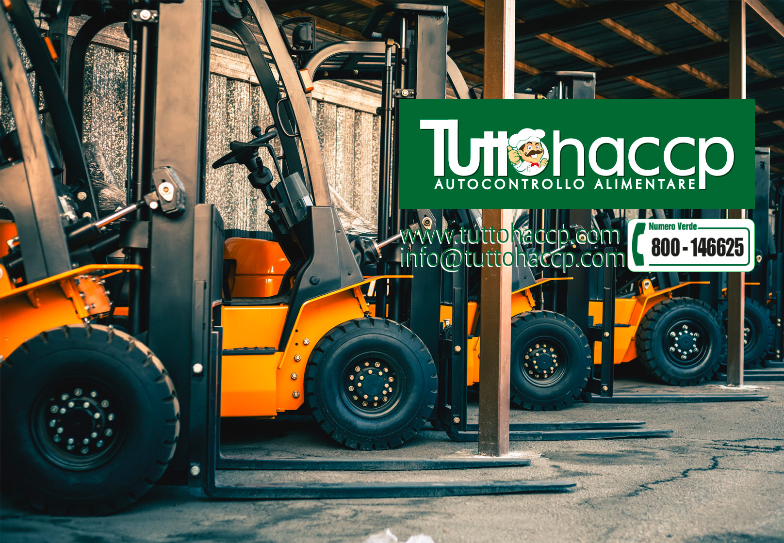 Patentino Muletto: guida completa - Tuttohaccp.com